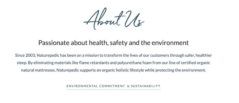 16 Inspiring Small Business Mission Statement Examples