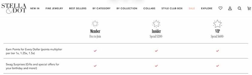 13 Customer Loyalty Program Ideas & Examples