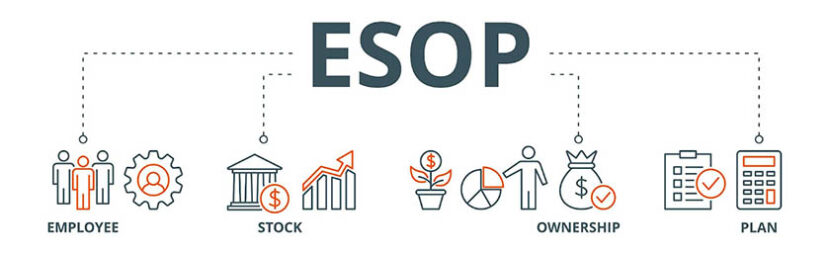 Different Ways to Pay Employees: Options for Small Businesses