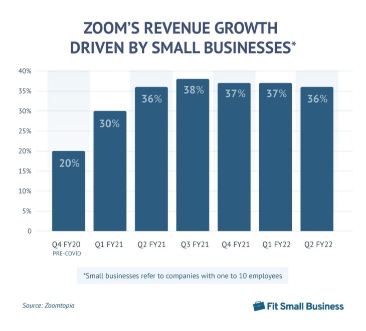 20 Zoom Statistics to Know for Your Business