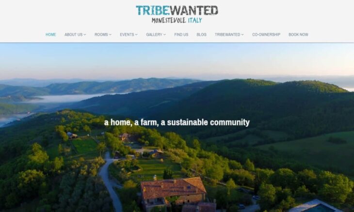 11 Best Free Website Builders for Small Business in 2023