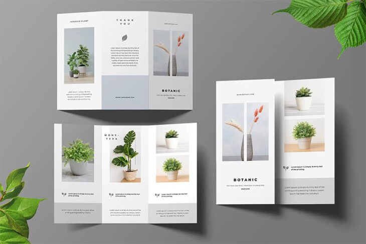25 Engaging Brochure Examples + Tips for Small Business Marketing