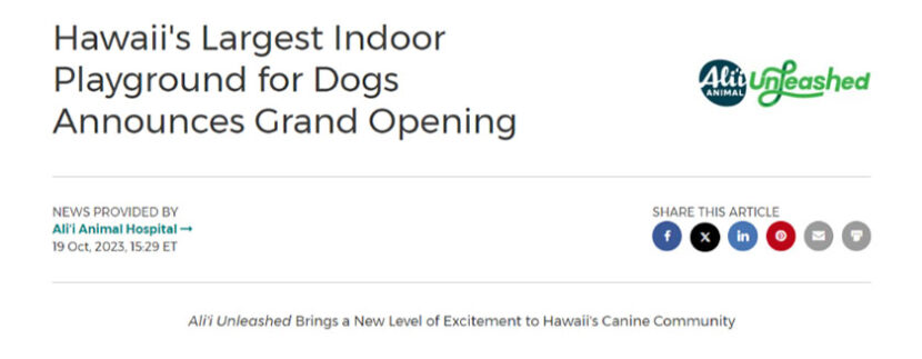 How to Write a Grand Opening Press Release (+ Template & Examples)