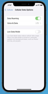 6 Best Business Cell Phone Plans of 2024