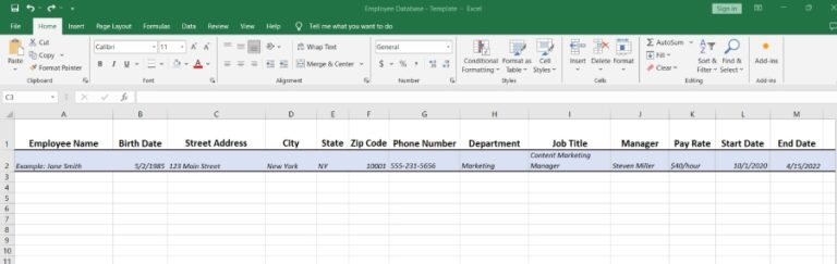 How to Create an Employee Database in Excel (+ Free Template)
