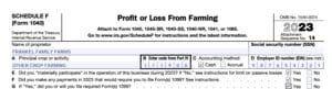 How to Fill Out Schedule F (With Example)