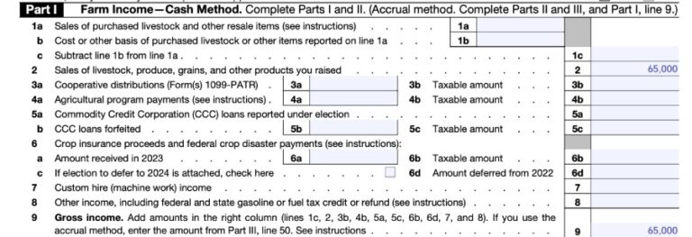 How to Fill Out Schedule F (With Example)