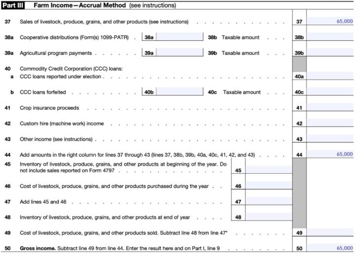 How to Fill Out Schedule F (With Example)