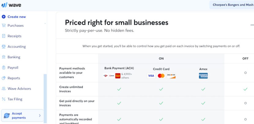 Wave Payments Review: Pros, Cons & Features