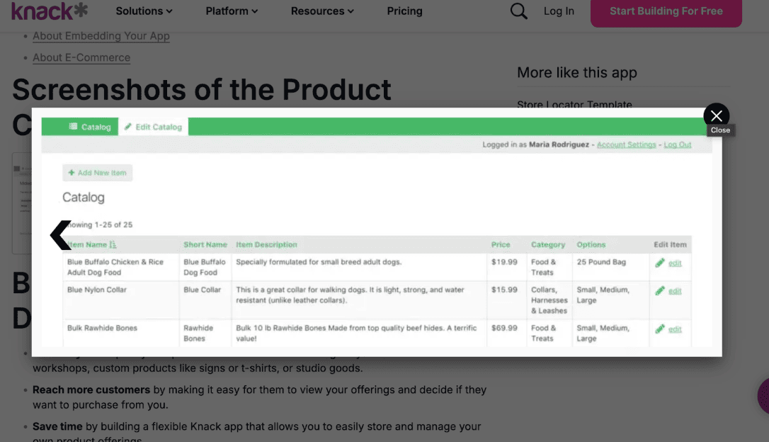 9 Best Product Catalog Templates (Free Download & Customize)
